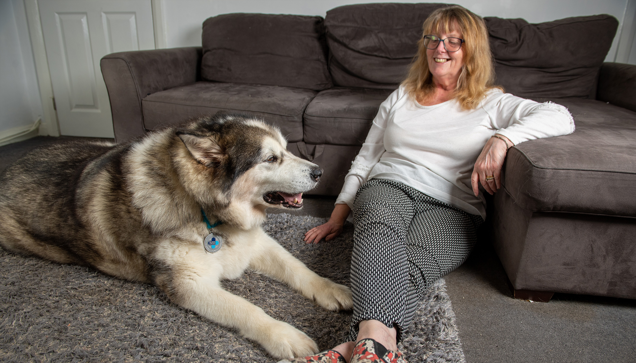 Hero pet which saved Brain Charity client and her husband from burglars ...