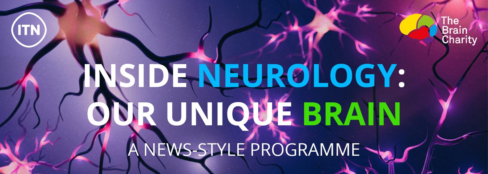 Watch Inside Neurology: Our Unique Brain - Support for neurological ...